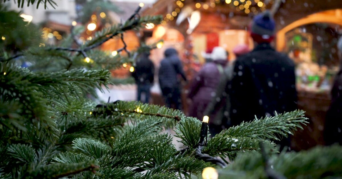 Uppsala in December 2025 - Destination Uppsala